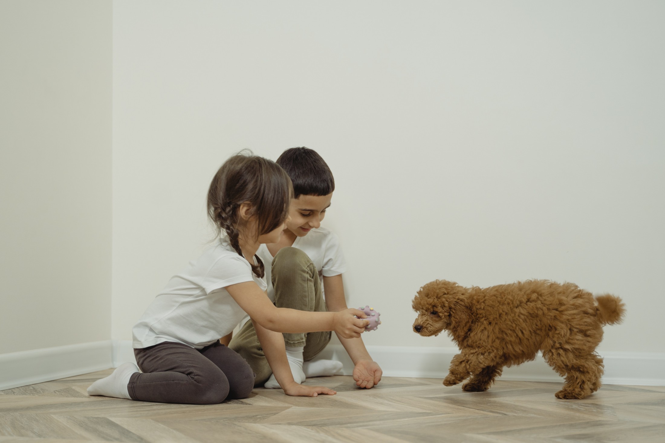 The Dog Stop | Kids and Dogs make a great family...if done right